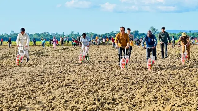 Food Estate Merauke akan Jadi Kawasan Ekonomi Khusus, Tanam 2 Pangan ...