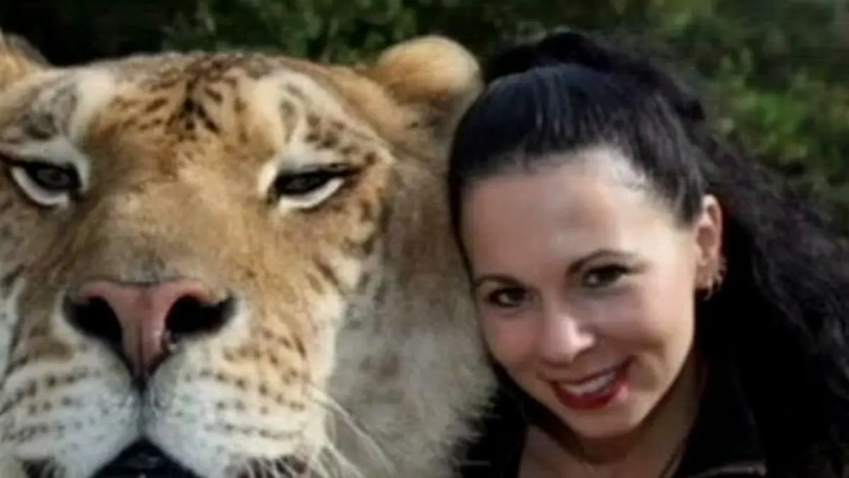 Hercules The Liger Bus