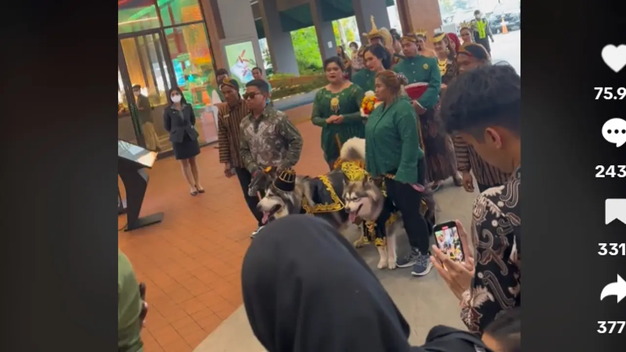 Potret Resepsi Pernikahan Anjing Berbalut Busana Adat, Warganet: Orang Kaya Gabut Begini Amat ...