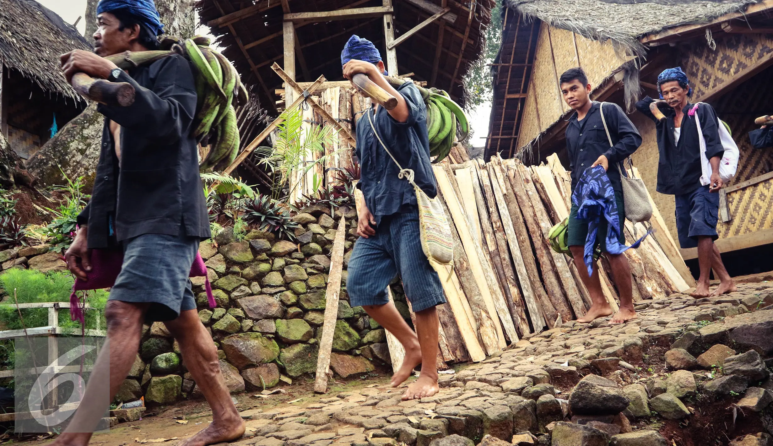 1800 Suku Baduy Jalani Tradisi Seba Baduy Kecil - Foto Liputan6.com
