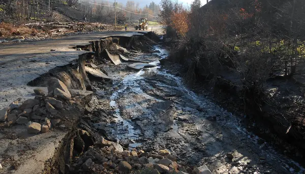 Sejarah Kopitiam, Budaya Ngopi yang Makin Eksis di Indonesia - Regional Liputan6.com