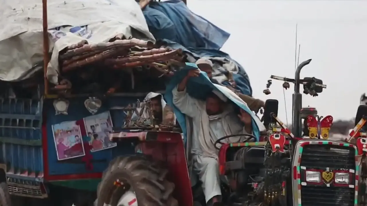 Film Walnut Tree Tayang di Indonesia, Kisah Pilu Warga Kurdi Selamatkan ...