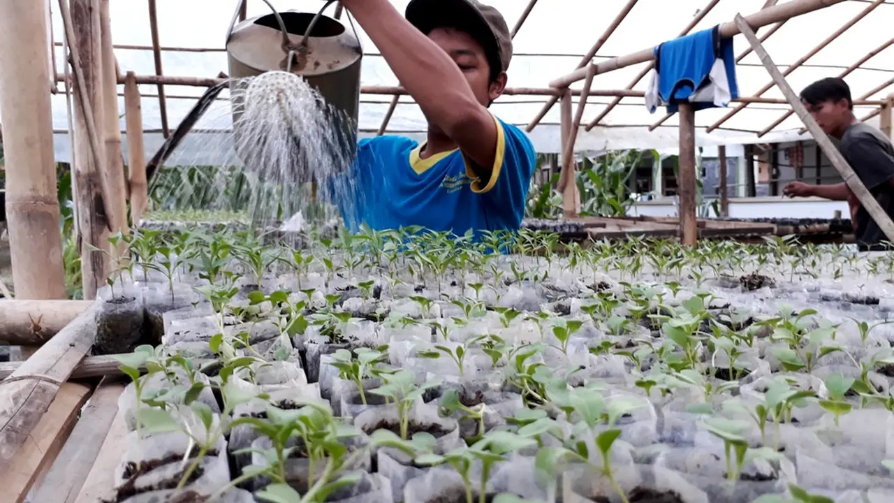 Perkembangbiakan Generatif Adalah Perkembangbiakan Tumbuhan Secara ...