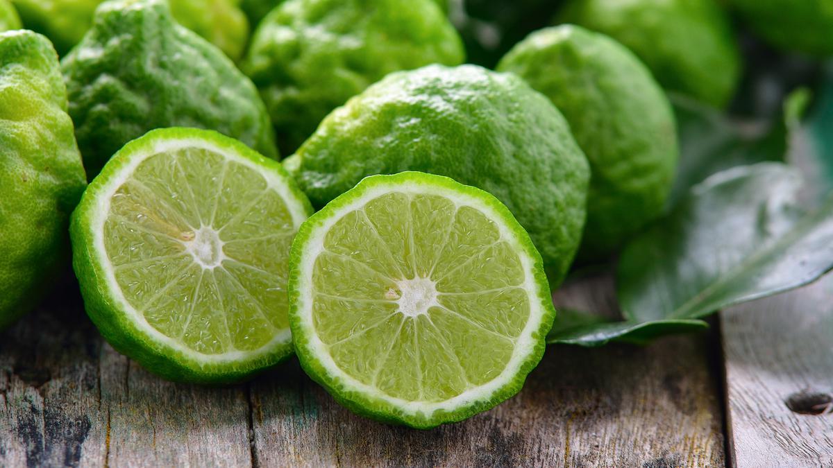 Fungsi Jeruk Limau dalam Masakan, Campuran Sambal hingga Penguat Cita ...