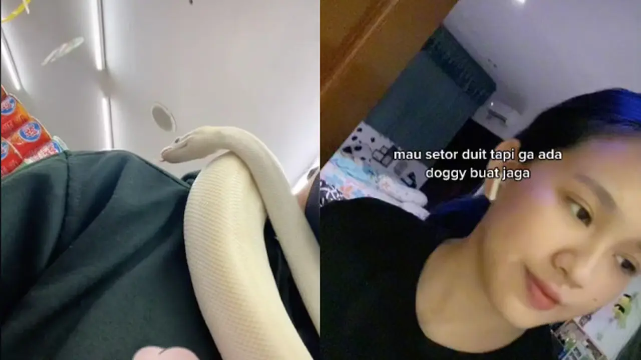 Viral Wanita Ini Ajak Ular Peliharaannya ke Minimarket, Bikin Merinding - Hot Liputan6.com