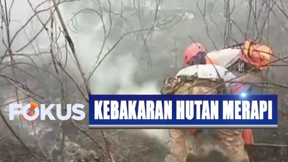 Bara Api di Gunung Merapi Dipadamkan dengan Teknik Menggunakan Pasir ...