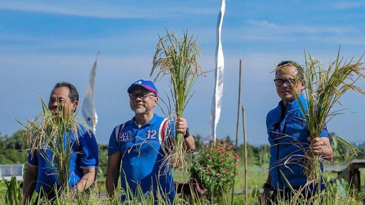 PAN Perjuangkan Kebijakan Konkret Bantu UMKM Berkembang - News Liputan6.com