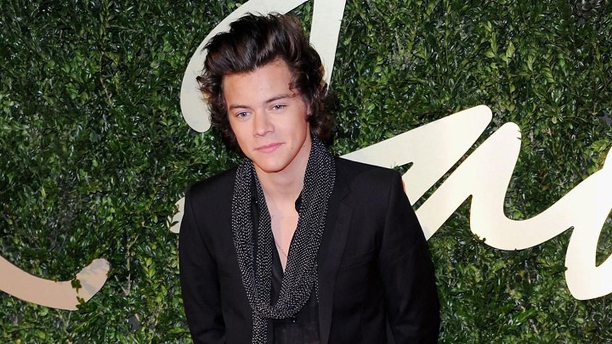 Harry Styles Pacari Model Victoria's Secret?