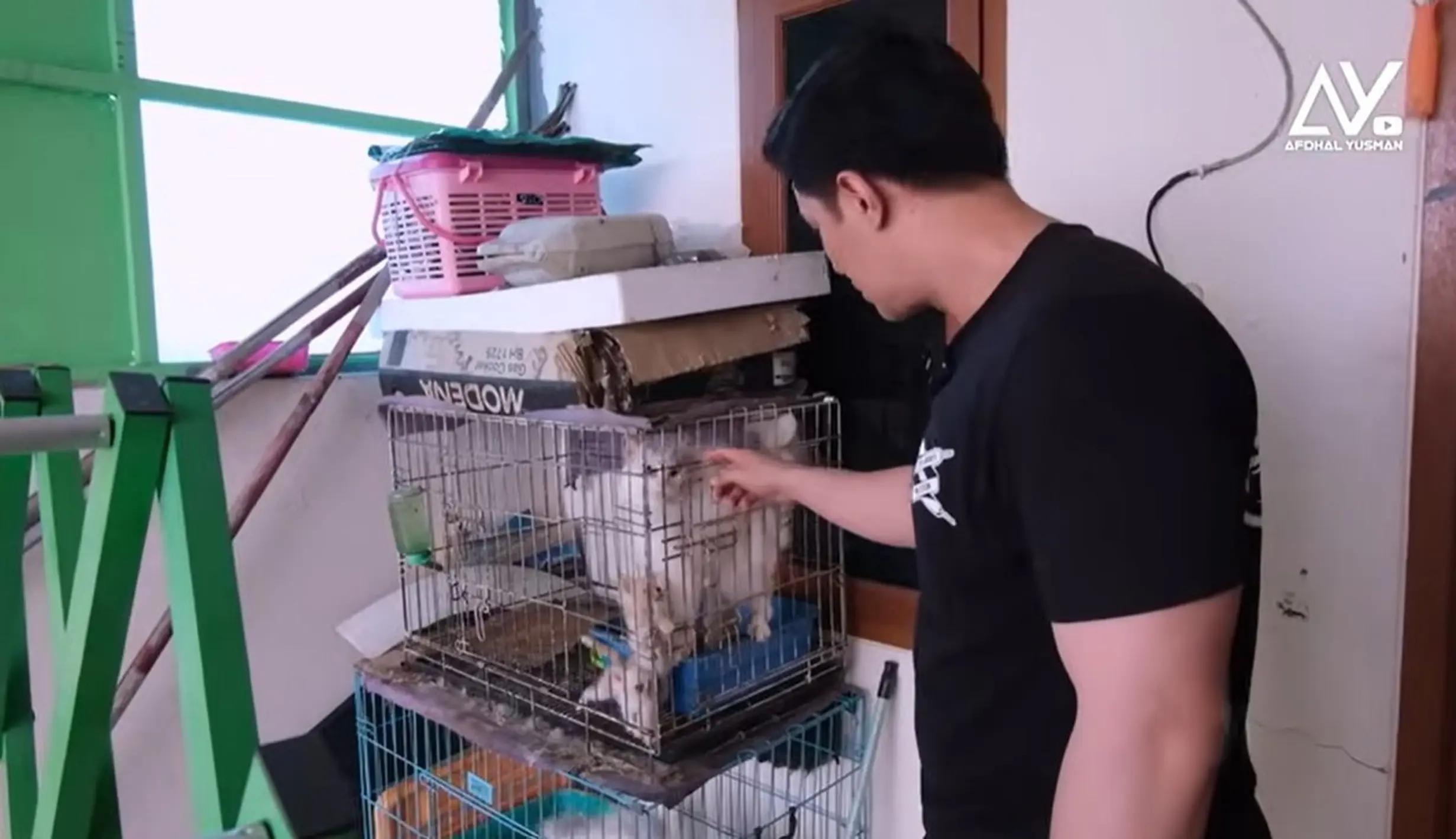 10 Potret Rumah Pemeran Kalagondang Misteri Gunung Merapi, Hasil dari ...