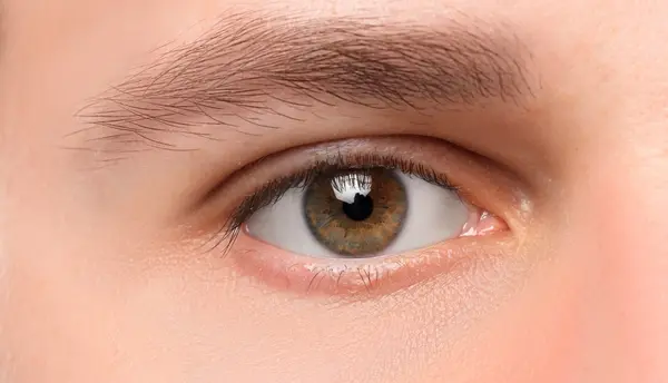 Pupil Mata Adalah: Fungsi, Struktur, dan Gangguan Kesehatan - Feeds ...