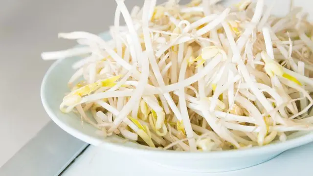 7 Cara Menyimpan Taoge Agar Awet dan Tetap Segar - Hot Liputan6.com