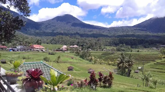 6 Fakta Menarik Tabanan Bali yang Terkenal dengan Wisata Tanah Lot ...