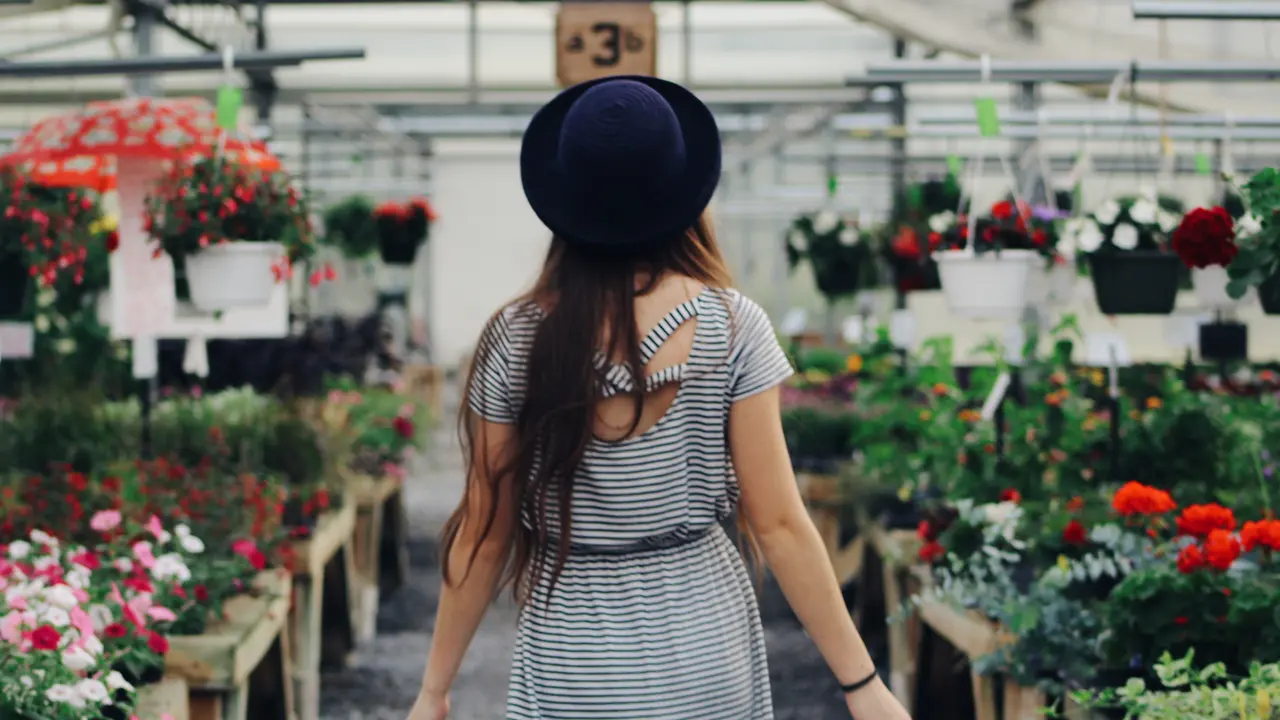 15 Jenis Bunga Cantik untuk Keindahan Halaman Rumah, Mudah Dirawat ...