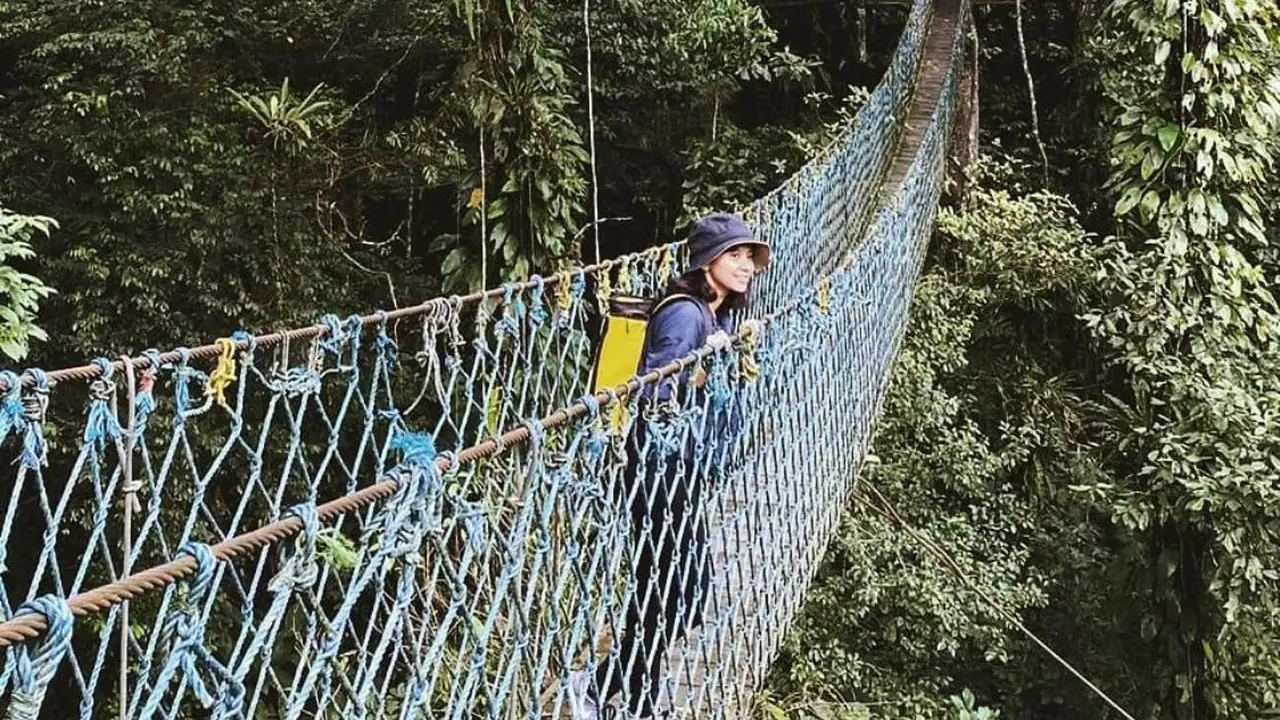 6 Fakta Menarik Gunung Halimun, Bagian dari Taman Nasional Gunung ...