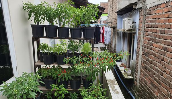 Arti Logo Bawaslu RI dan Maskot Wasra Wisri Terbaru, Wajib Tahu