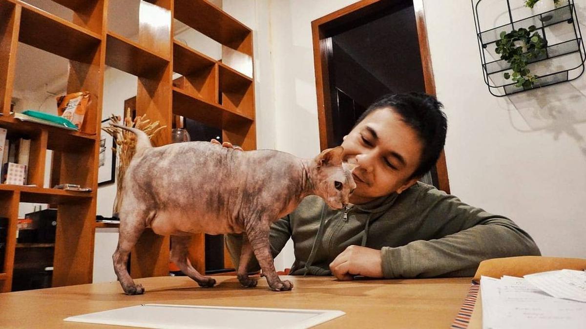 5 Potret Artis Pecinta Kucing dari Raditya Dika Hingga Citra Kirana ...