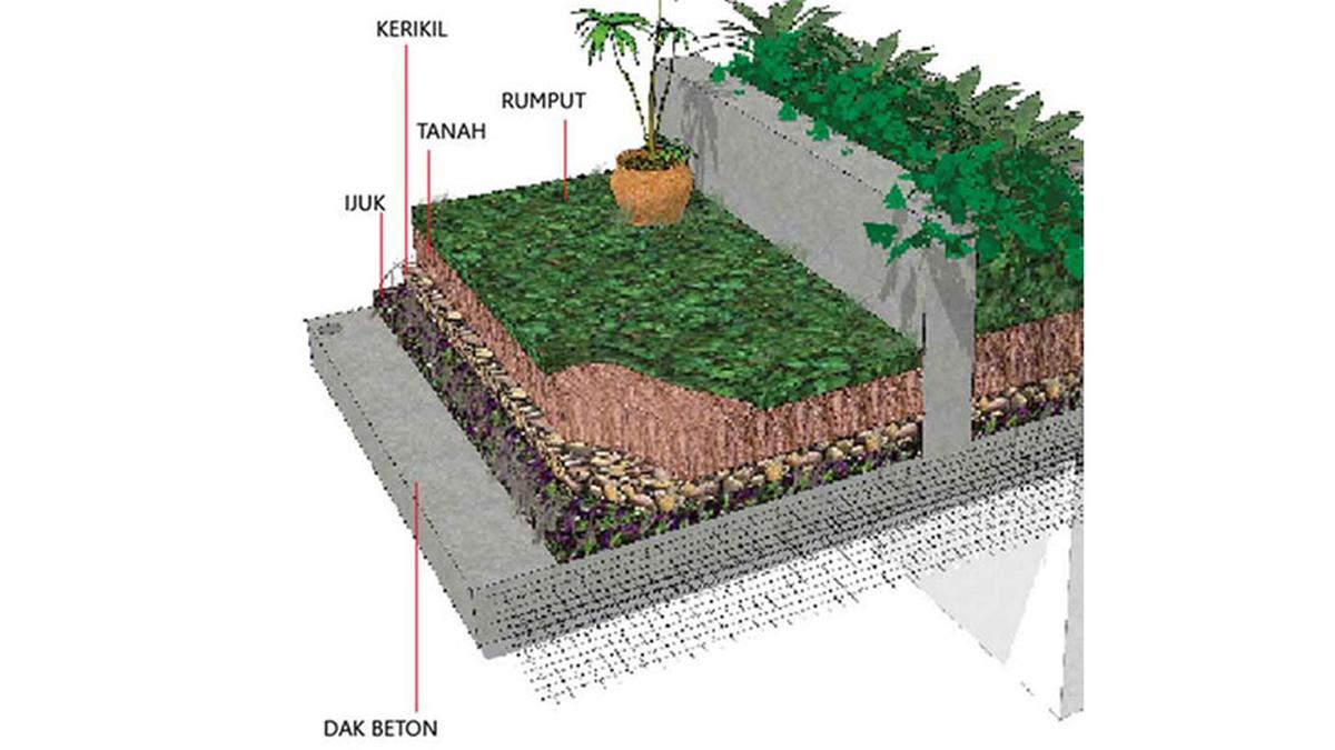 Bikin Atap Rumah Jadi Lebih Cantik dengan Roof Garden