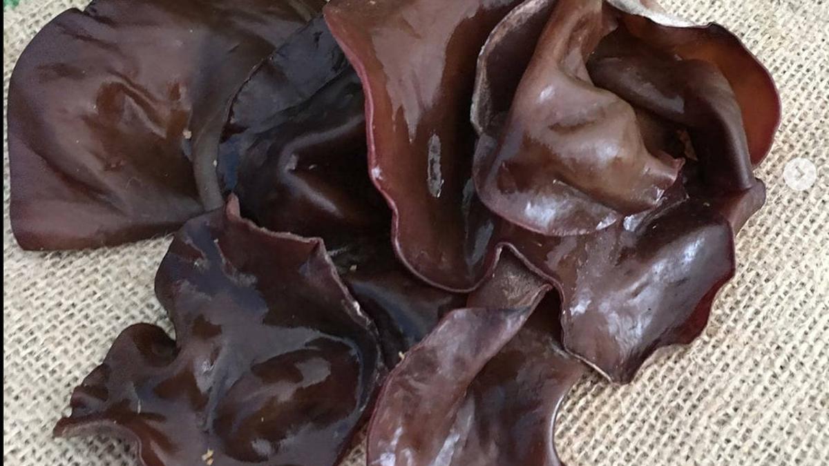 Langkah Mudah Menjaga Jamur Kuping Tetap Segar - Food Fimela.com