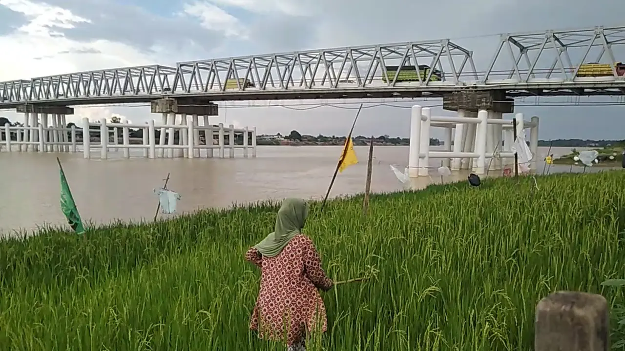 Tiang Runtuh Ditabrak Tongkang Batu Bara, Masihkah Jembatan Aurduri 1 ...