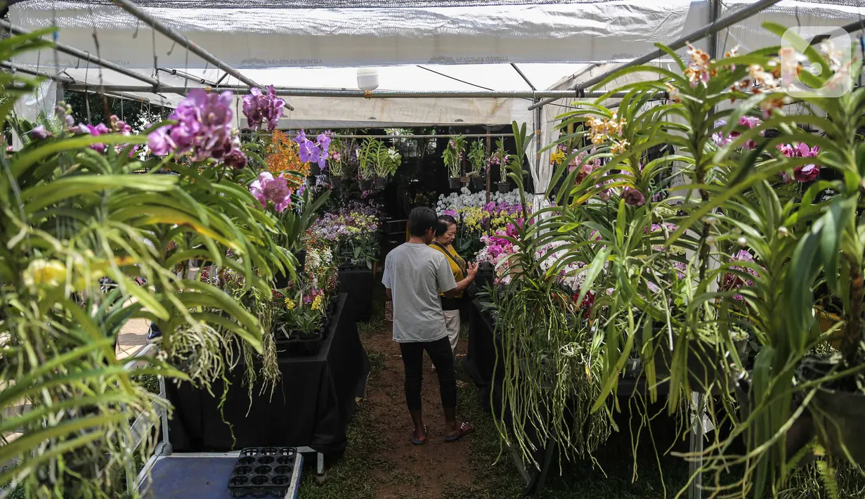 Mengunjungi Pameran Flora di Lapangan Banteng - Foto Liputan6.com