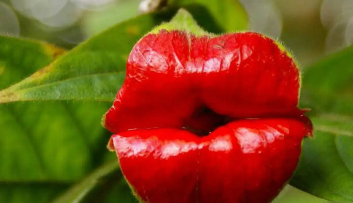 Bunga Unik Namun Tetap Cantik yang Ada di Dunia - Photo Fimela.com