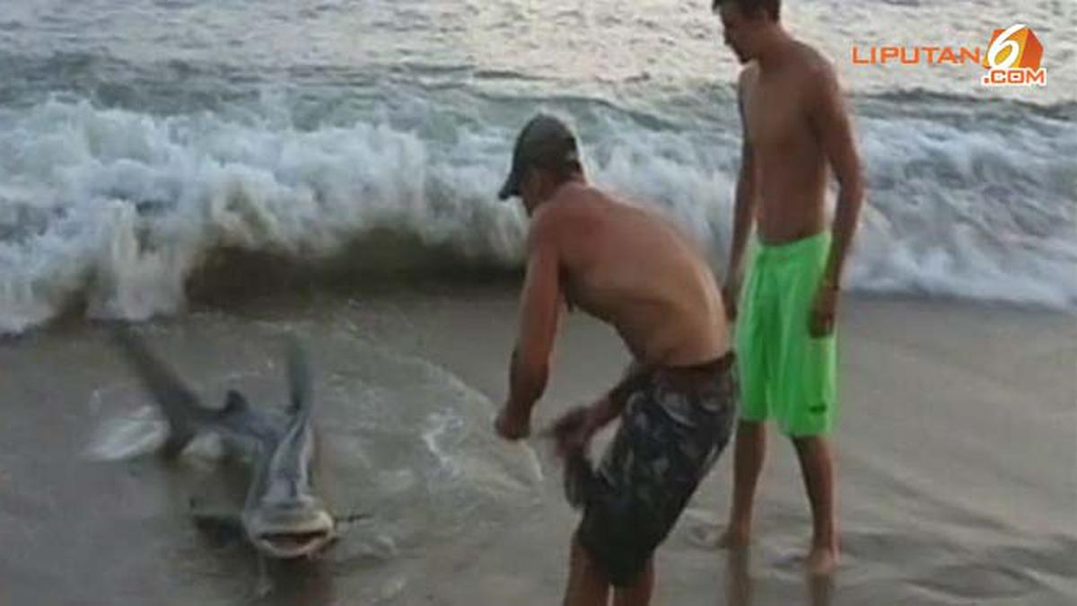 [VIDEO] Pemancing Ikan di AS Tangkap Hiu dengan Tangan Kosong - News ...