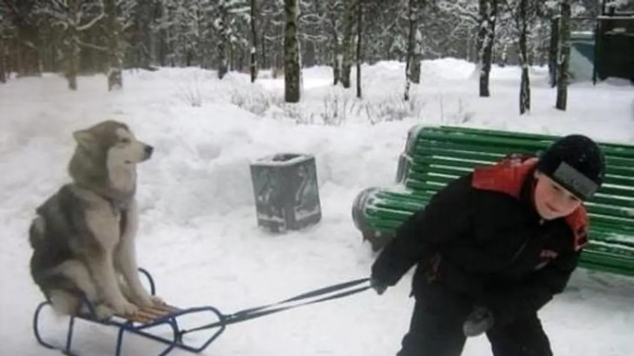 7 Potret Nyeleneh Bukti Dunia Sedang Terbalik Ini Bikin Geleng Kepala ...