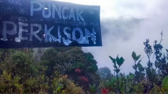 6 Fakta Menarik Gunung Perkison di Aceh yang Termasuk Bagian Pegunungan ...