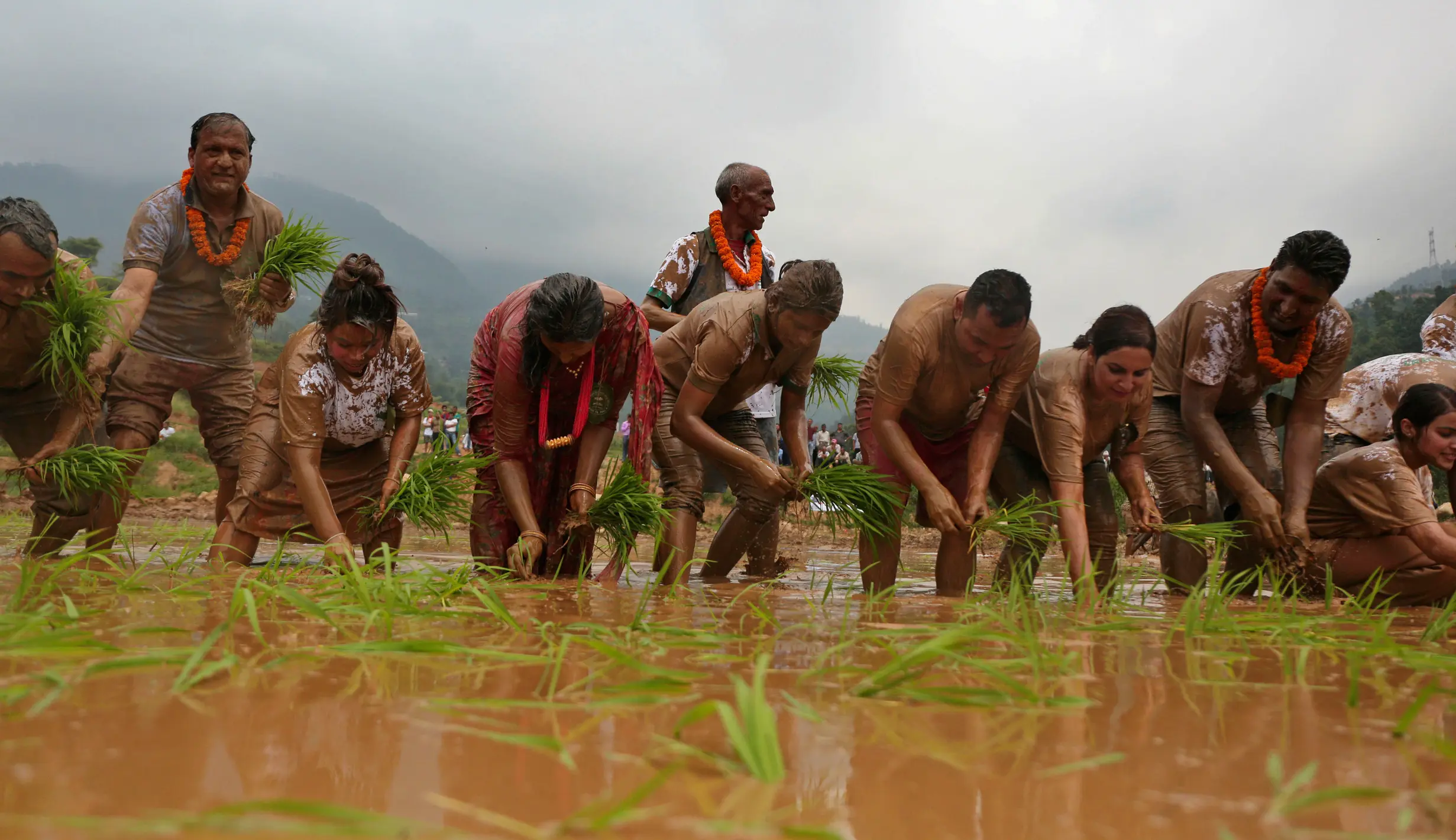 FOTO: Sukacita Warga Nepal Saat Rayakan Hari Tanam Padi - Foto Liputan6.com