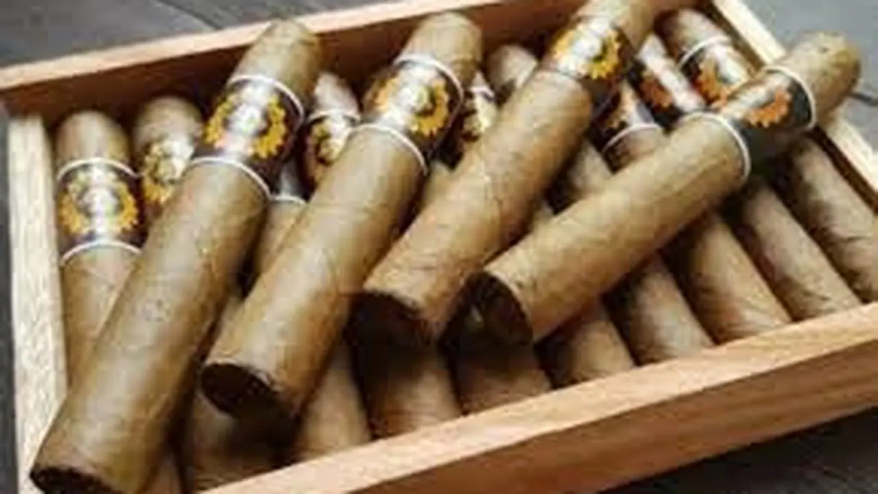 Target Transaksi Hingga Rp 15 Miliar Pada Festival Jember Kota Cerutu ...