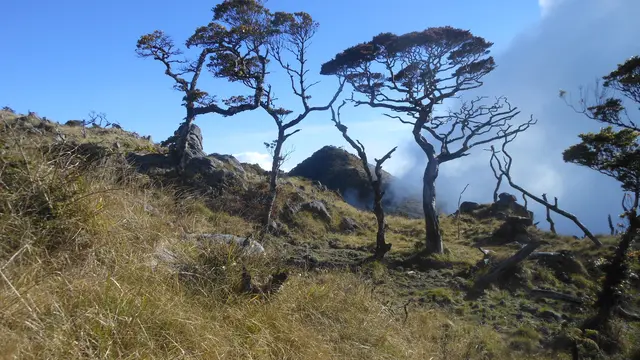 6 Fakta Menarik Gunung Bawakaraeng di Sulawesi yang Diartikan Gunung ...