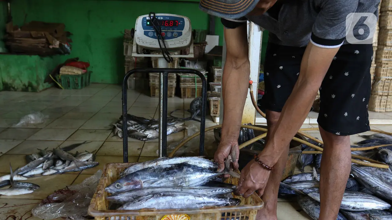 Mengenal Ikan Jade Perch, Kaya Omega 3 Pencegah Kolesterol dan Stroke ...