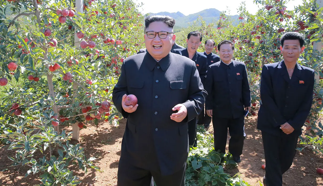 PHOTO: Kim Jong-un Semringah Lihat Kebun Apelnya Subur - Foto Liputan6.com