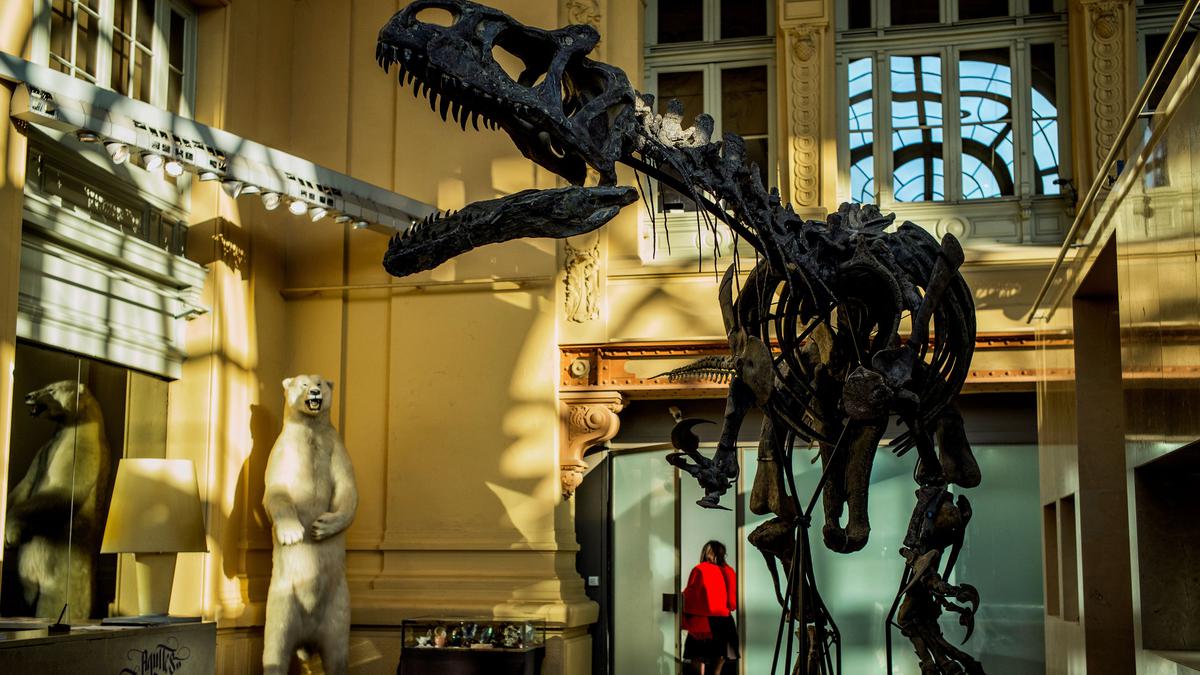 10 Raksasa yang Jadi Nenek Moyang Hewan Modern, Bagaimana Wujudnya ...