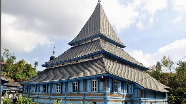 6 Fakta Menarik Agam, Lokasi Pohon Kayu Terbesar di Dunia Berdiri