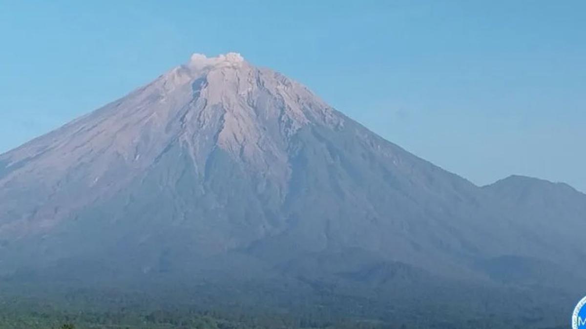 Gunung Semeru Erupsi Lagi, Tinggi Letusan Abu Vulkanik Capai 500 Meter - Surabaya Liputan6.com