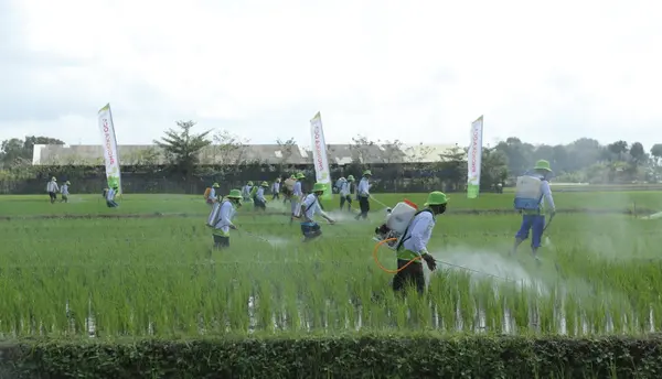 Mengenal NAPAK, Navigator Pasien yang Bantu Atasi Hambatan Pasien ...