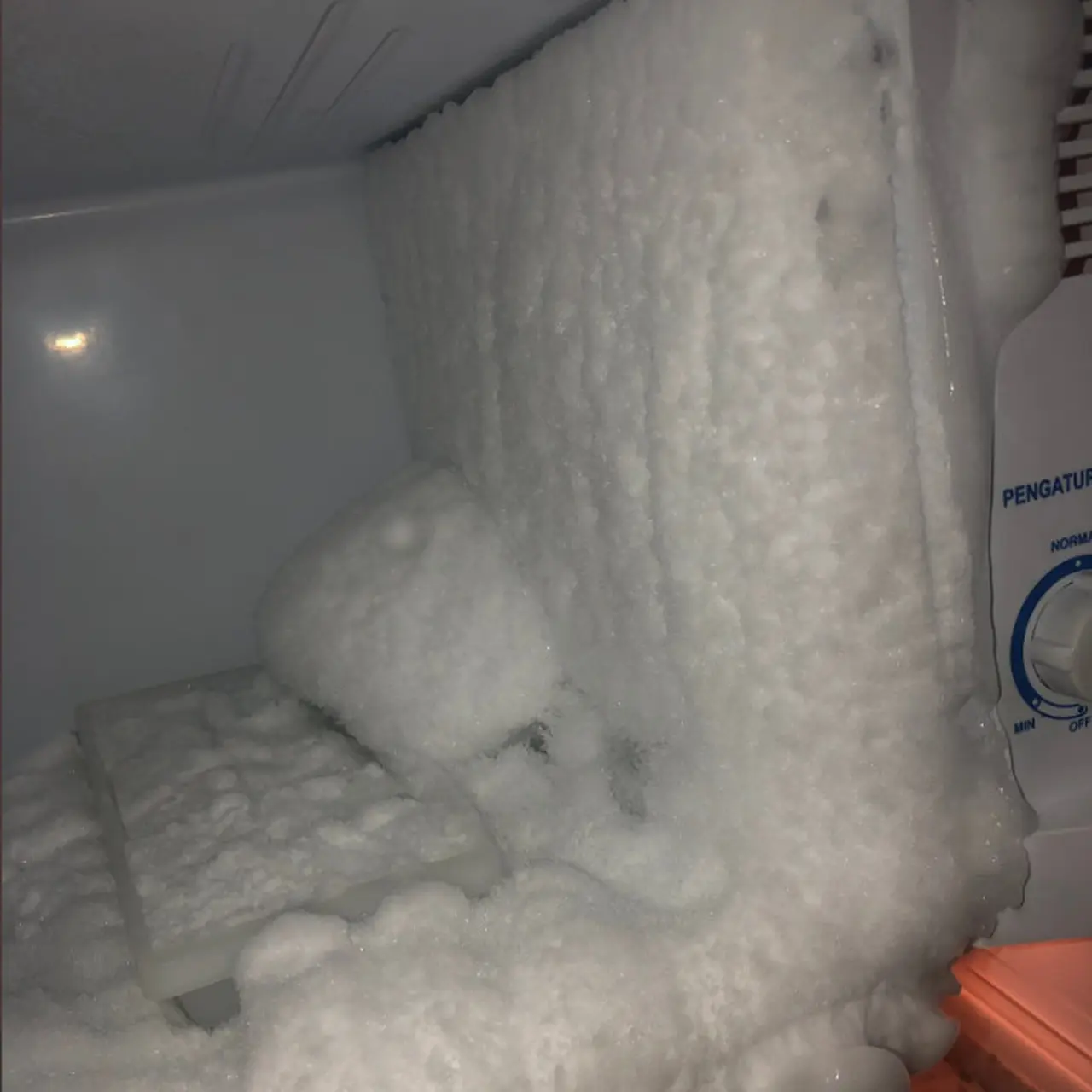 6 Potret Kulkas Penuh Bunga Es Ini Bikin Geleng Kepala, Tak Ada Ruang ...