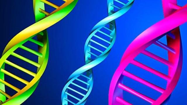 Genetika adalah Cabang Biologi yang Mempelajari Pewarisan Sifat, Simak ...