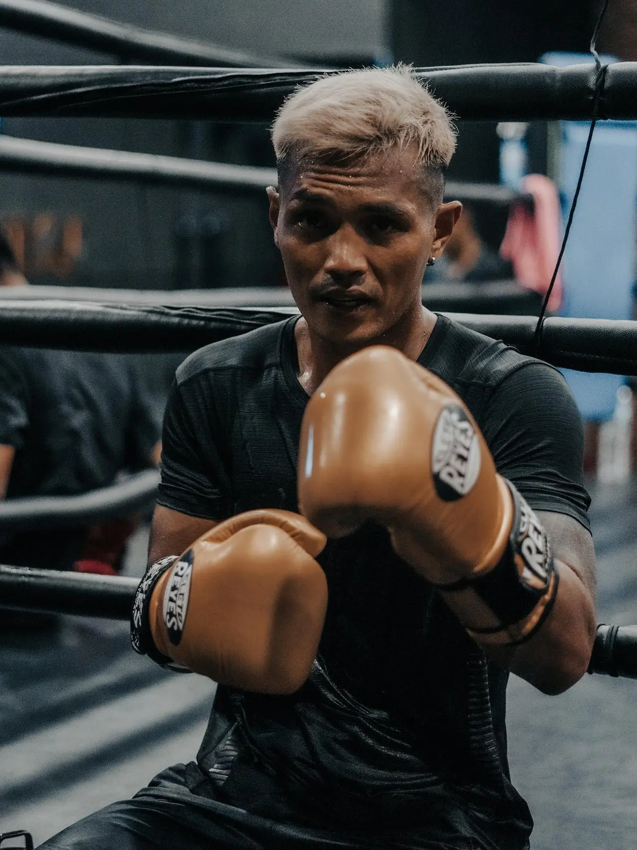 Sparing adalah Bentuk Latihan Tinju, Berlatih Mengalahkan Lawan - Hot ...