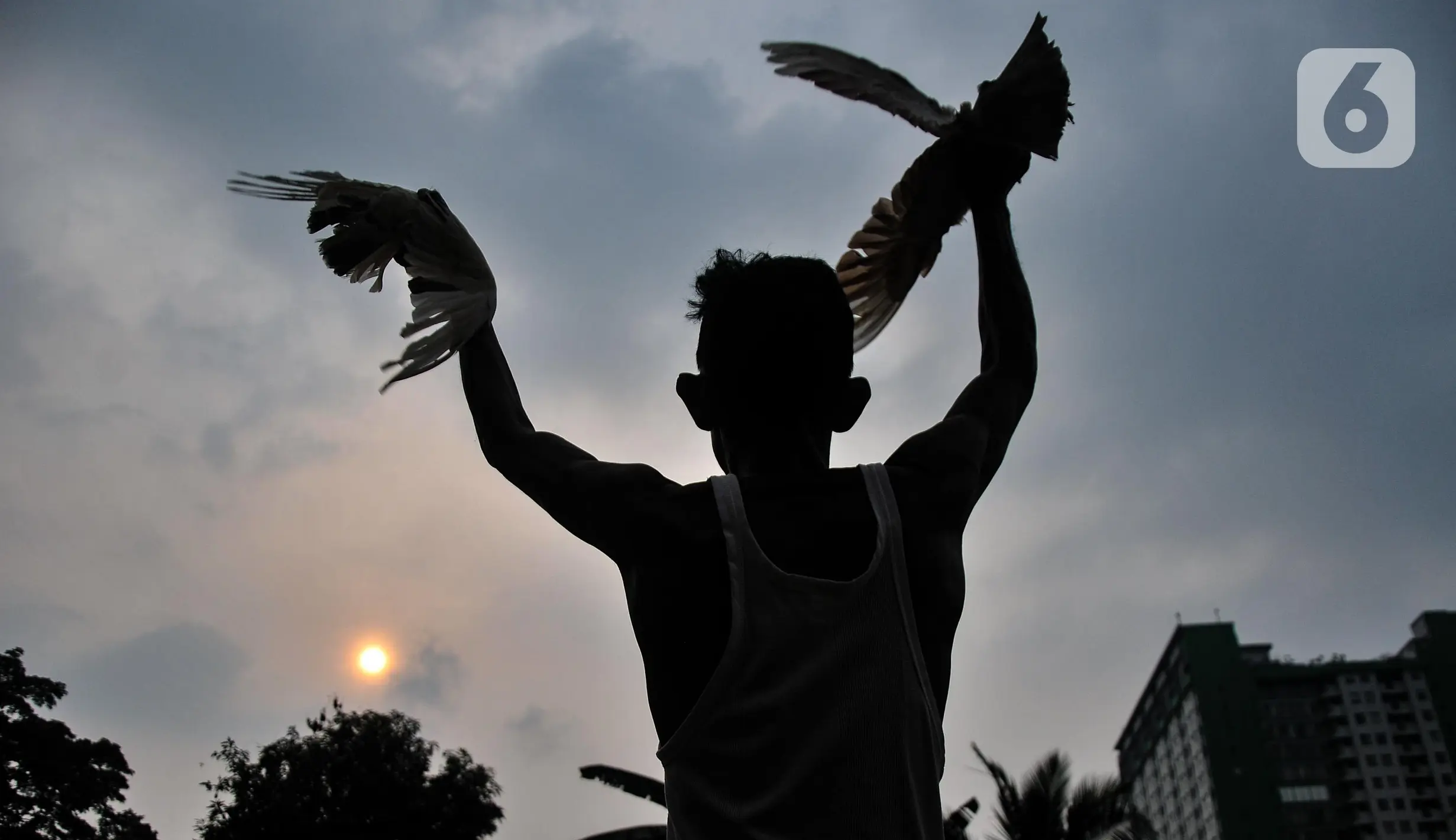 Bermain Burung di Bantaran Kali Ciliwung - Foto Liputan6.com