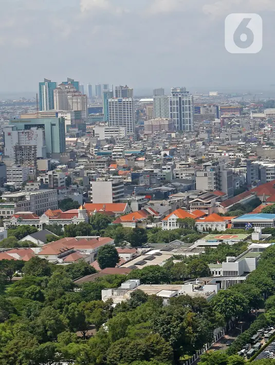 FOTO: RTH Jakarta Baru 9,98 Persen, Jauh dari Syarat Minimum - Foto ...