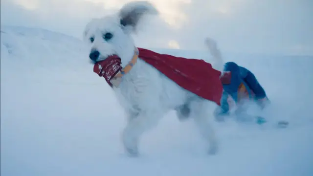 Krypto Scene Removed from Superman 2025 Due to Criticism - English ...