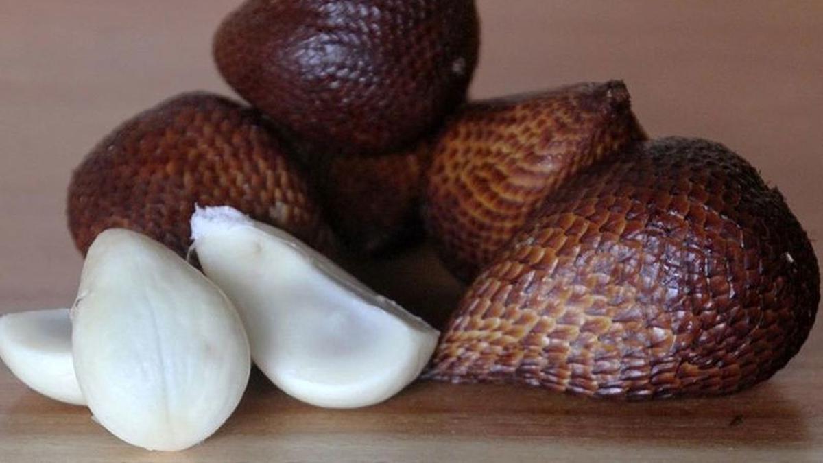 Berita zalac food Hari Ini - Kabar Terbaru Terkini | Liputan6.com