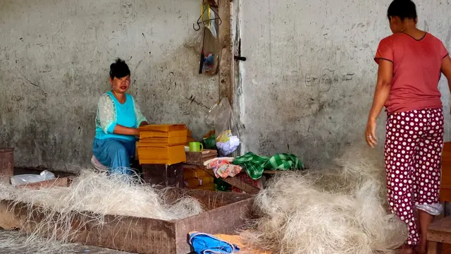 Tak Hanya Kecoak, Ada Bekicot Juga Dalam Adonan Mi Sohun - Regional ...