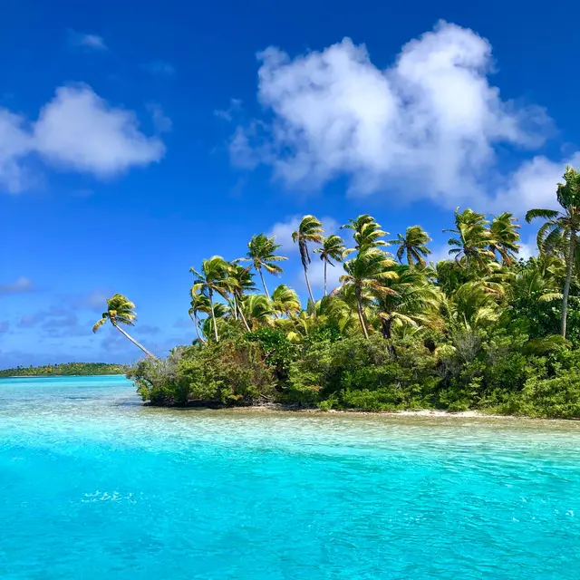 Fientje Maritje Suebu Jadi Dubes Indonesia Pertama dalam Sejarah yang ...