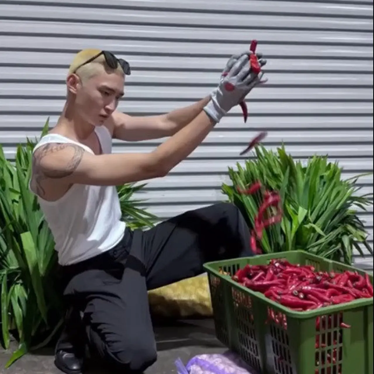 Potret Bryan Yap Model Sekaligus Pedagang Sayur, Alasannya Bikin Kagum ...