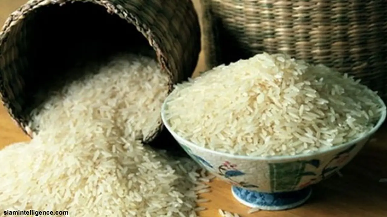 Beras Analog Panganan Alternatif Pengganti Beras Padi dan Terigu ...