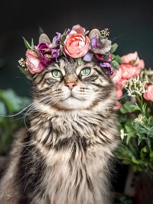 Gemasnya, 10 Potret Hewan dengan Mahkota Bunga - Citizen6 Liputan6.com