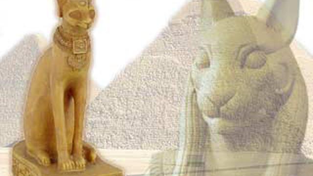 Arca Dewi Kucing Mesir Kuno Ditemukan - Global Liputan6.com